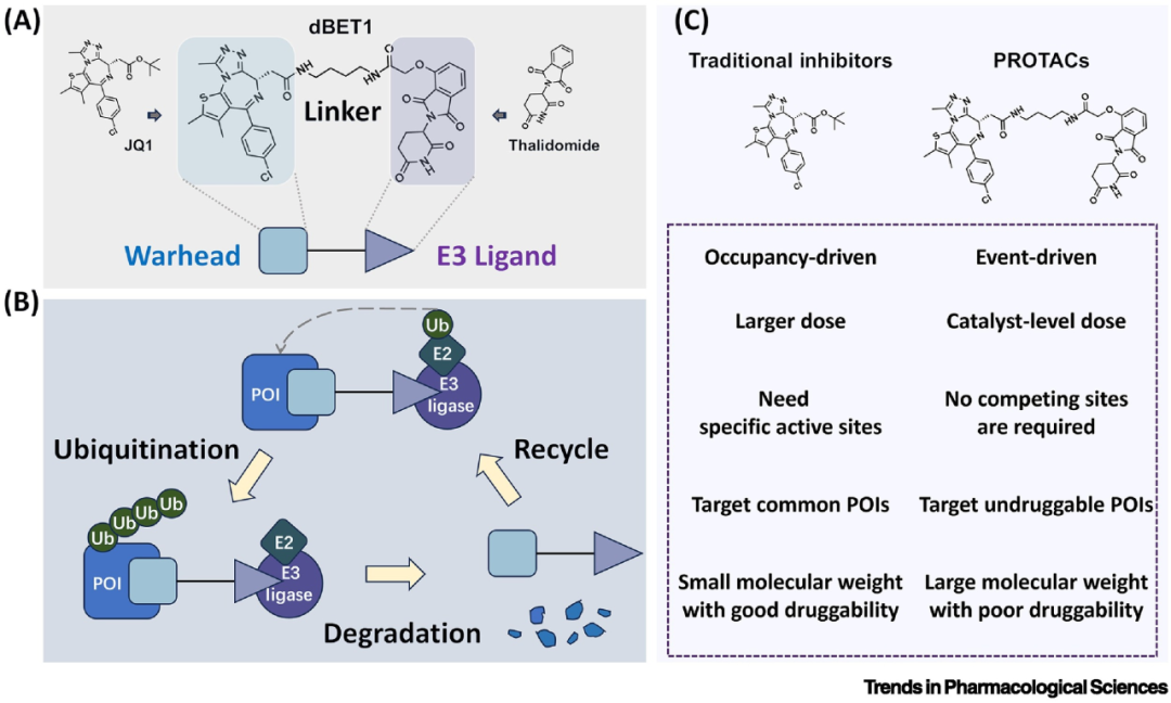 Trends Pharmacol. Sci. | 利用计算科学推进PROTAC药物发展-腾讯云开发者社区-腾讯云