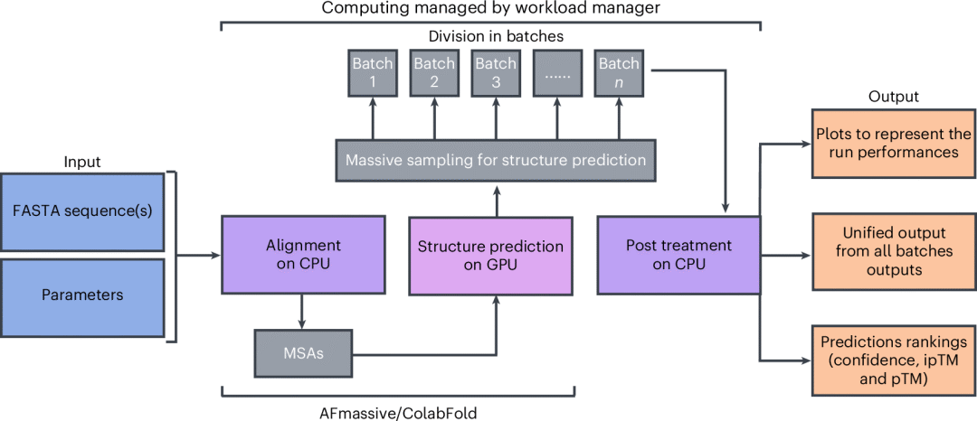 Nat. Comput. Sci. | MassiveFold，大规模并行优化的AlphaFold-腾讯云开发者社区-腾讯云