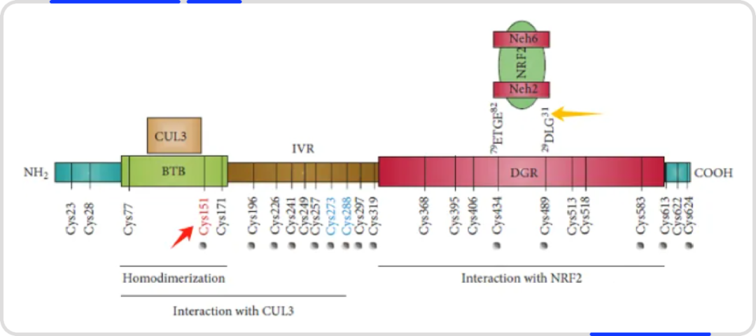 C4XD/AZ Nrf2 项目专利：PatSight SAR 解析与候选分子预测-腾讯云开发者社区-腾讯云