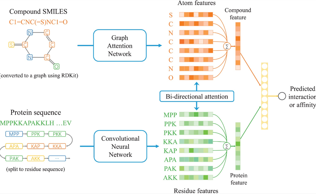 [Bioinformatics | 论文简读] BACPI：一种用于化合物-蛋白质相互作用及结合亲和力预测的双向注意力神经网络-腾讯云开发者社区-腾讯云