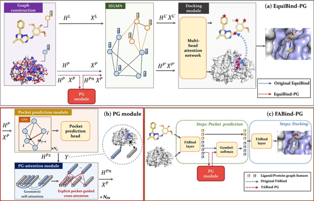 复旦大学王满宁团队提出PGBind模型，通过基于口袋引导的显性注意力机制预测蛋白质-配体对接-腾讯云开发者社区-腾讯云