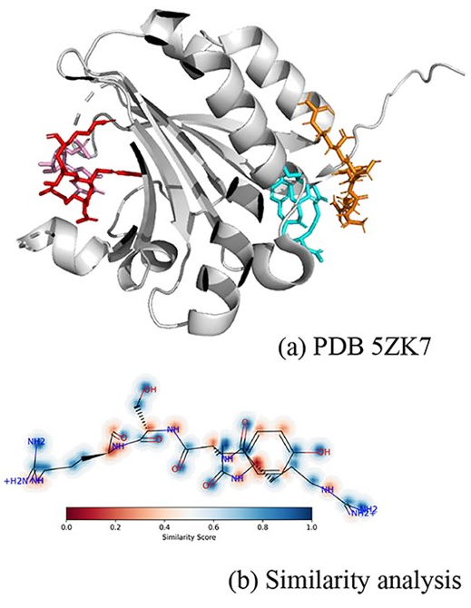 复旦大学王满宁团队提出PGBind模型，通过基于口袋引导的显性注意力机制预测蛋白质-配体对接-腾讯云开发者社区-腾讯云