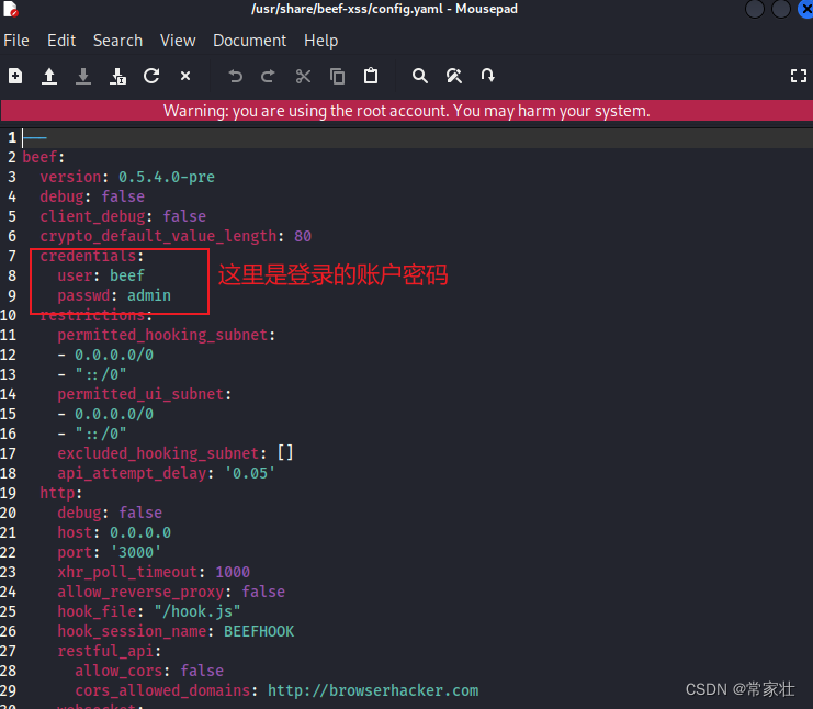 Xss 工具 Beef Xss安装以及使用 腾讯云开发者社区 腾讯云 