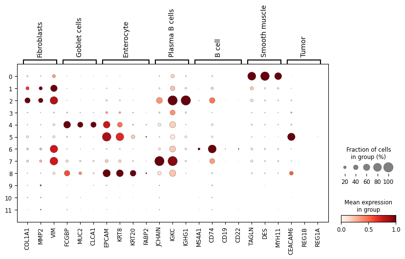 10X空转visium HD多样本分析策略二【scanpy+spatialdata】-腾讯云开发者社区-腾讯云