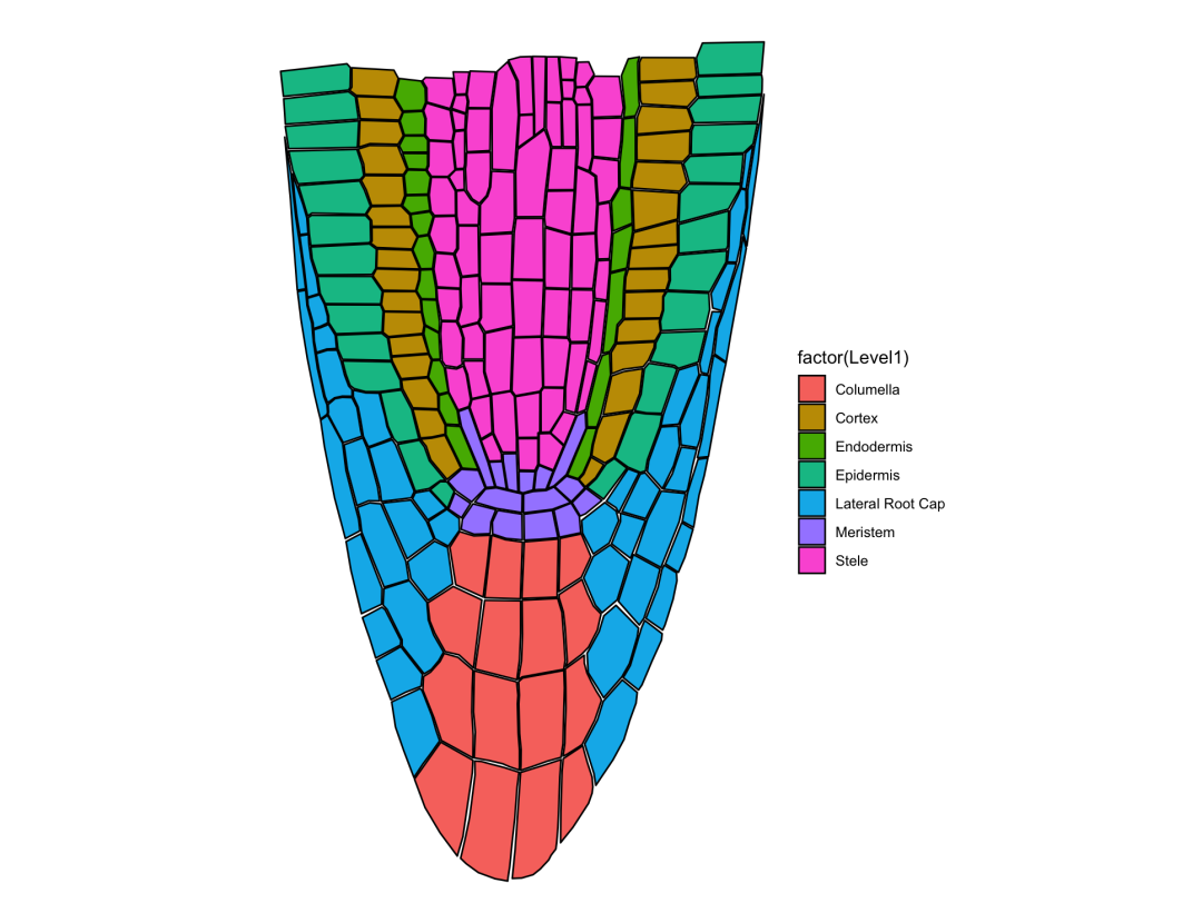 ggPlantmap植物可视化的R工具包-腾讯云开发者社区-腾讯云