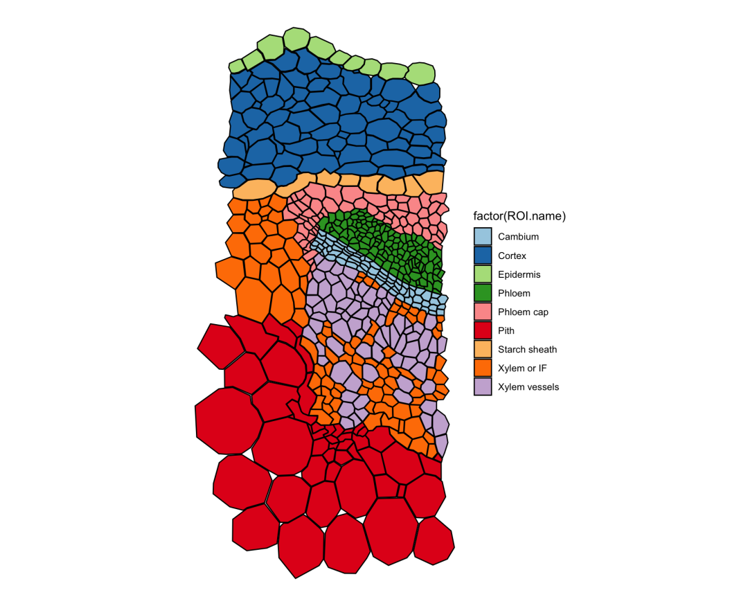 ggPlantmap植物可视化的R工具包-腾讯云开发者社区-腾讯云