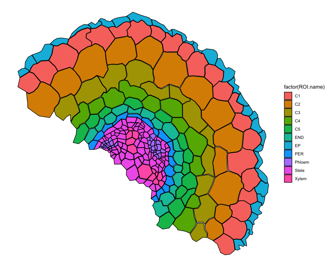 ggPlantmap植物可视化的R工具包-腾讯云开发者社区-腾讯云
