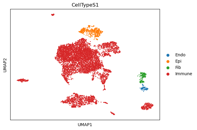 单细胞转录组实战03: 使用celltypist注释细胞-腾讯云开发者社区-腾讯云