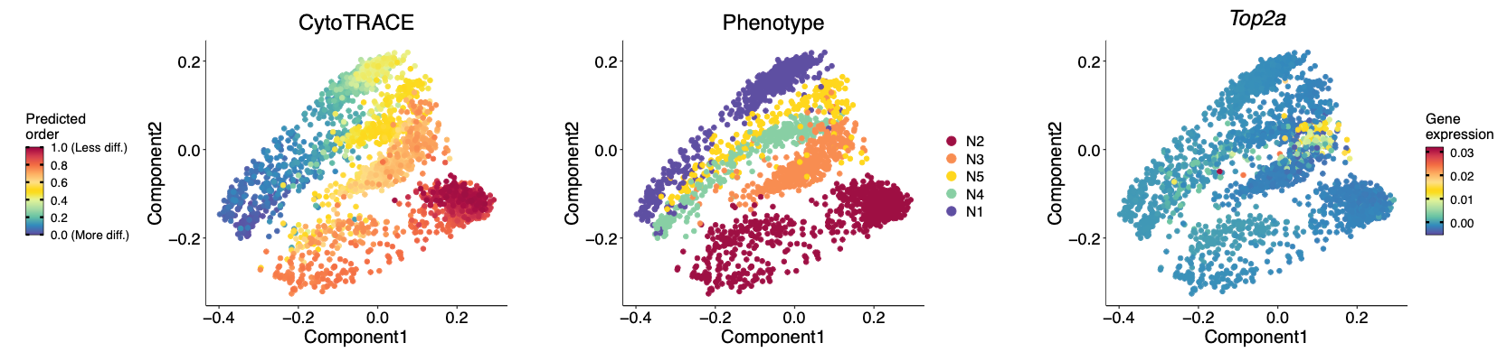 CytoTRACE推测细胞分化状态-腾讯云开发者社区-腾讯云