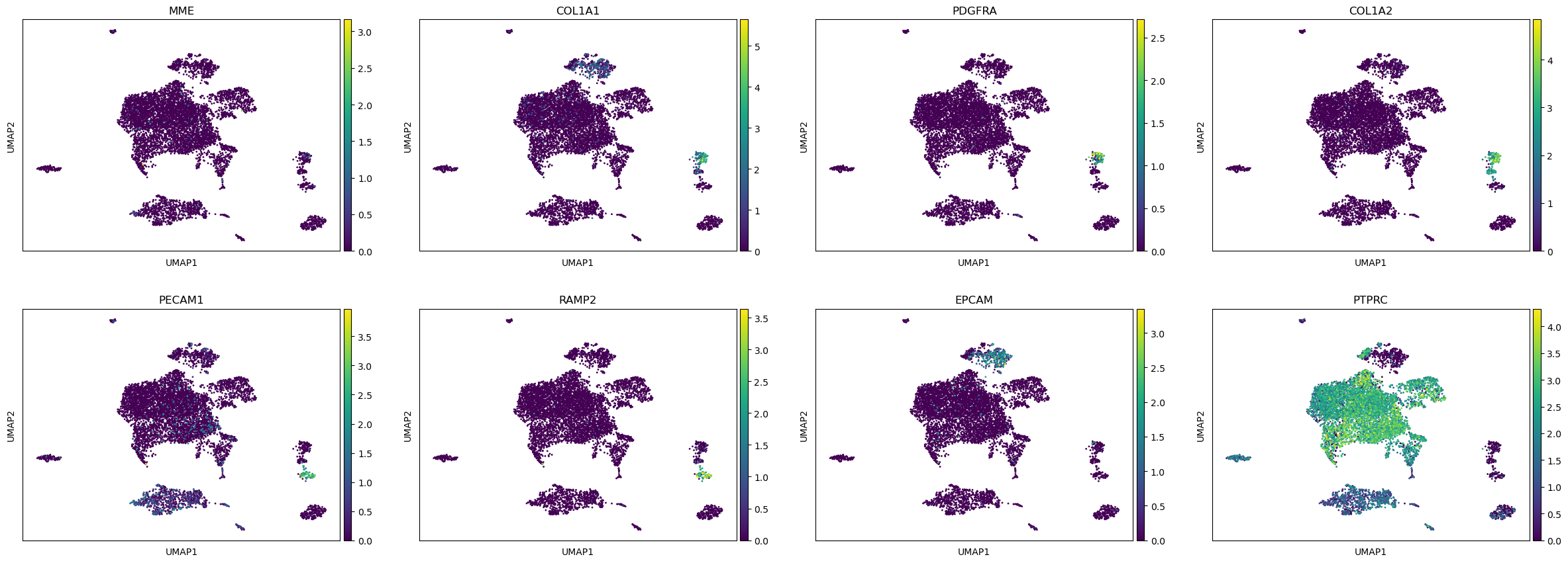 单细胞转录组实战03: 使用celltypist注释细胞-腾讯云开发者社区-腾讯云