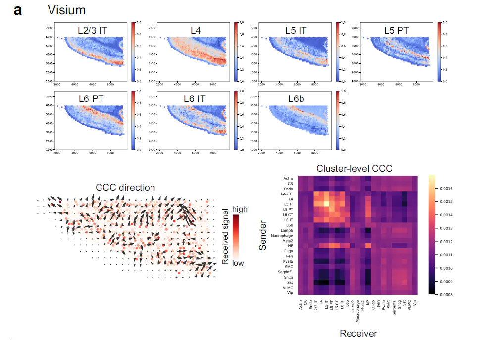 通过空间行为（optimal transport）推断空间细胞间通讯信号方向(COMMOT)-腾讯云开发者社区-腾讯云